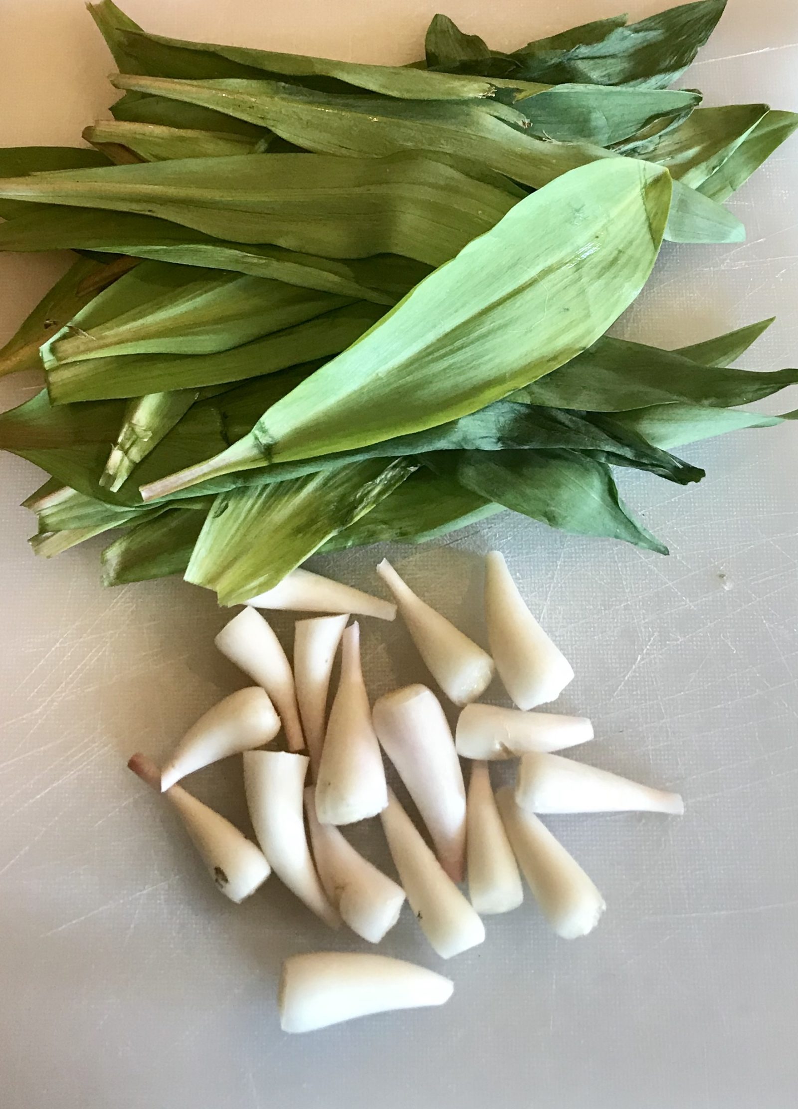 Ramps! – The Perishable Cook